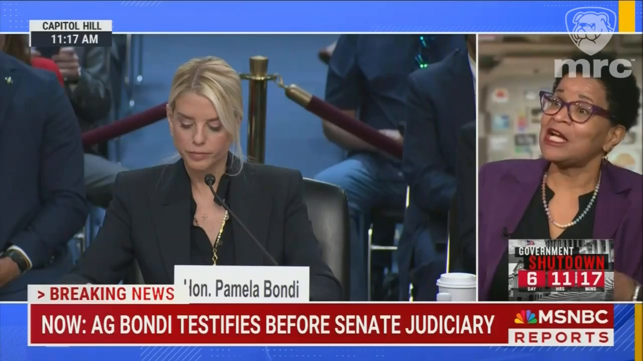 MSNBC’s Downplays BOMBSHELL: Biden FBI Spying on Republican Senators ...